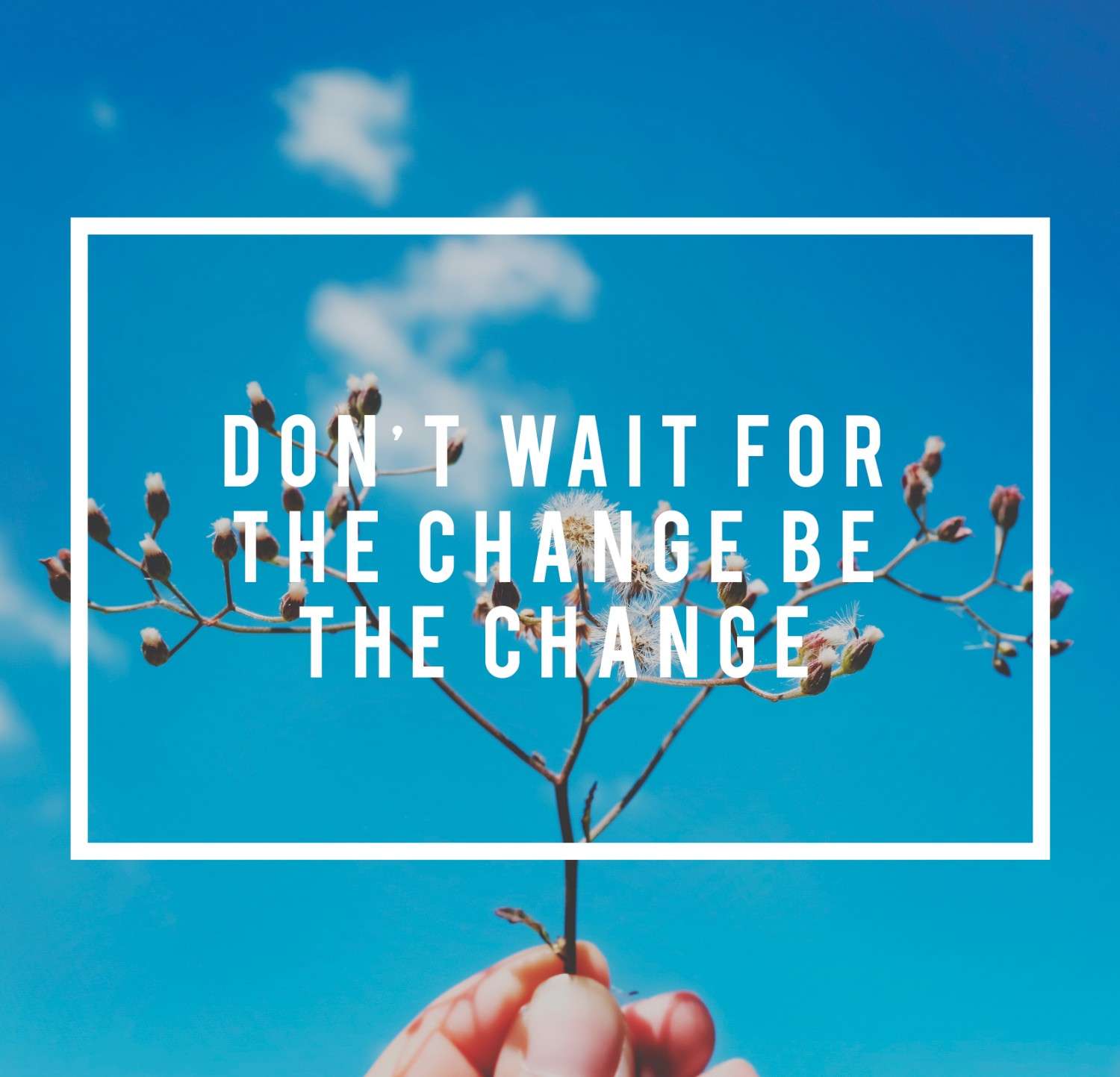 How Can You Implement Small Steps For Big Wins In Daily Life